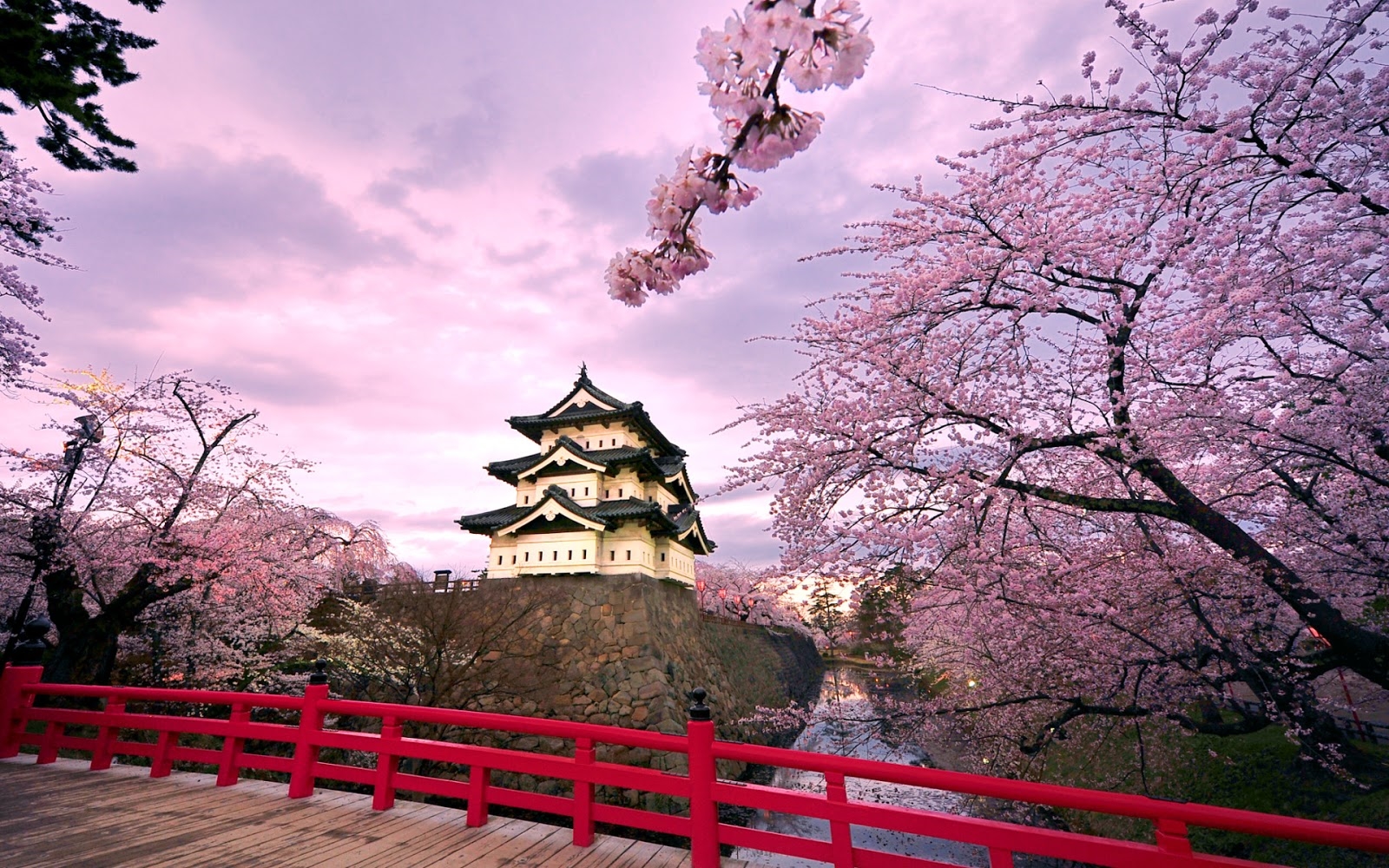 Marathons in Japan - Which One Will Inspire You? | World's Marathons