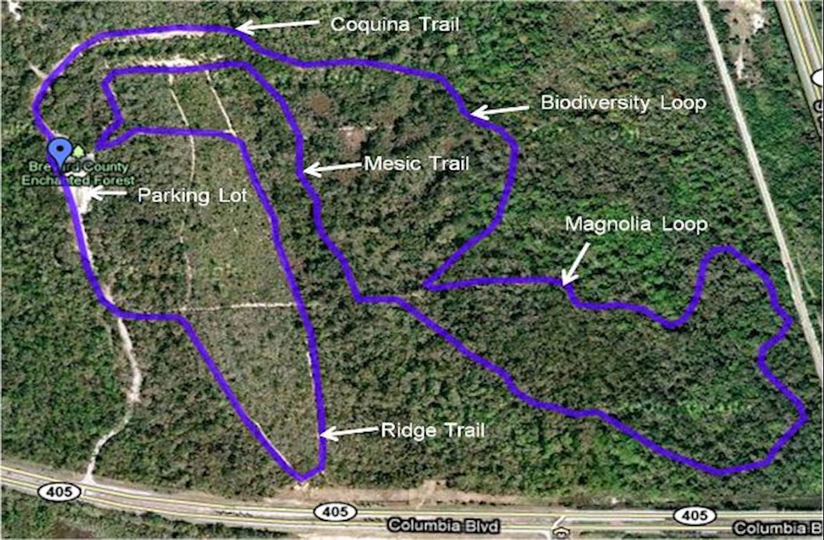 Ancient Oaks 100 | World's Marathons